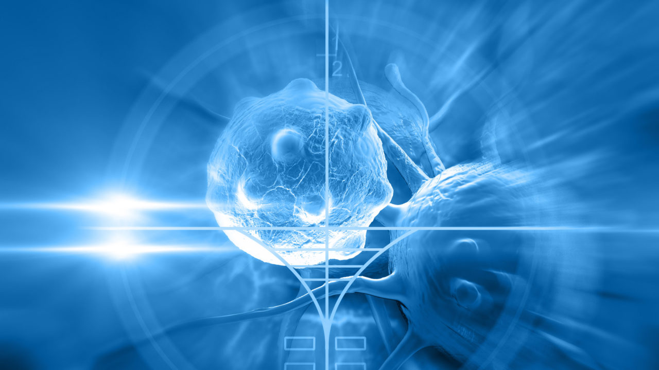 Experience counts - Calculus Capital